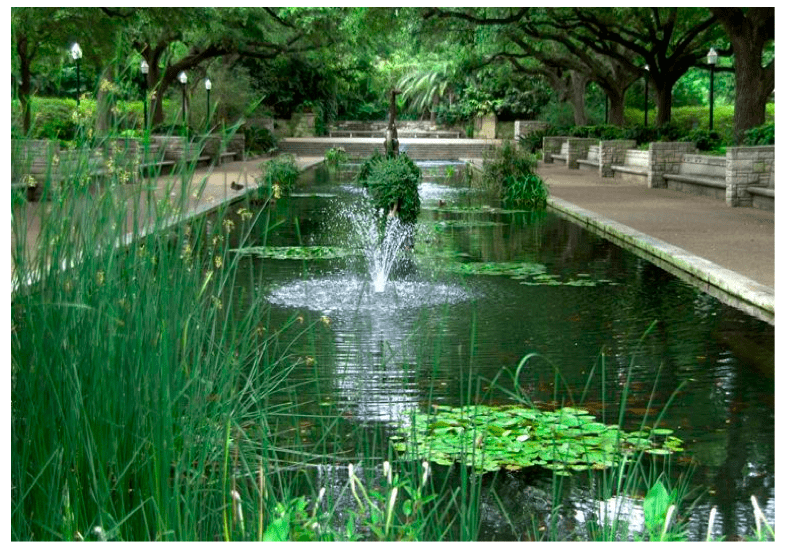 Houston Zoo houston-zoo